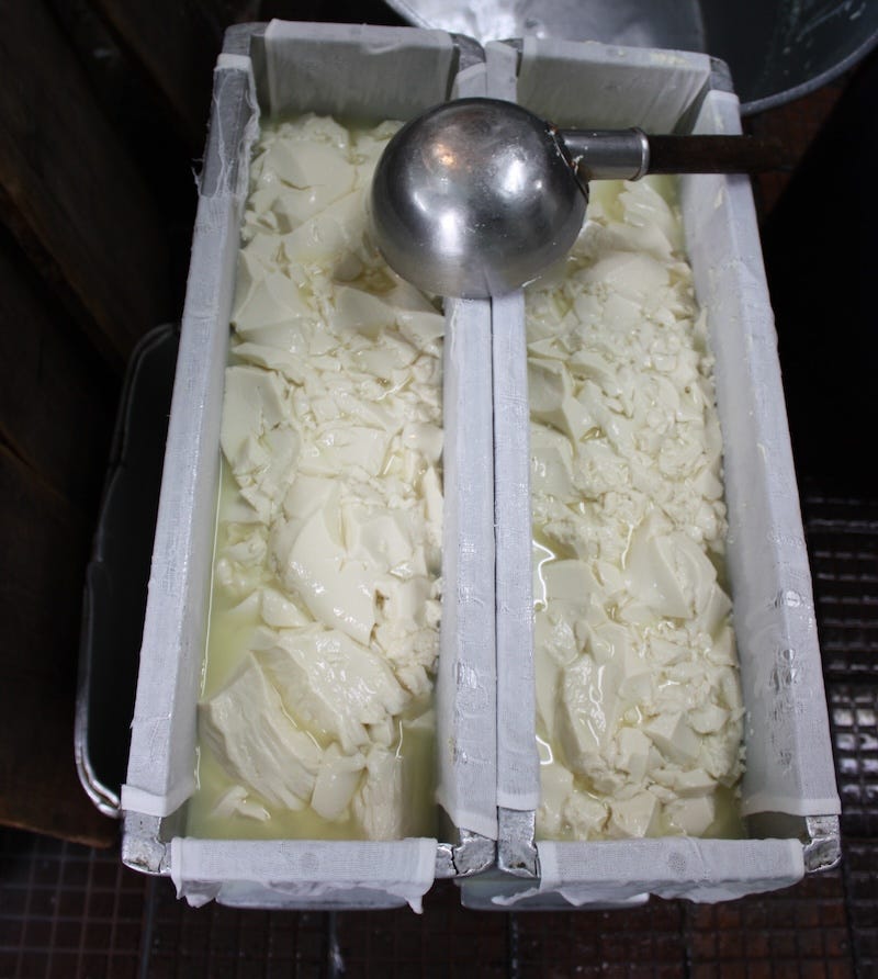 Tofu Myths, Truths and Vagaries - by Andrea Nguyen