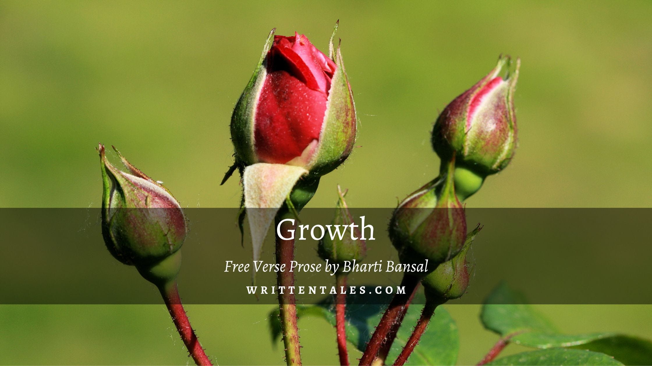 Growth - Written Tales Magazine