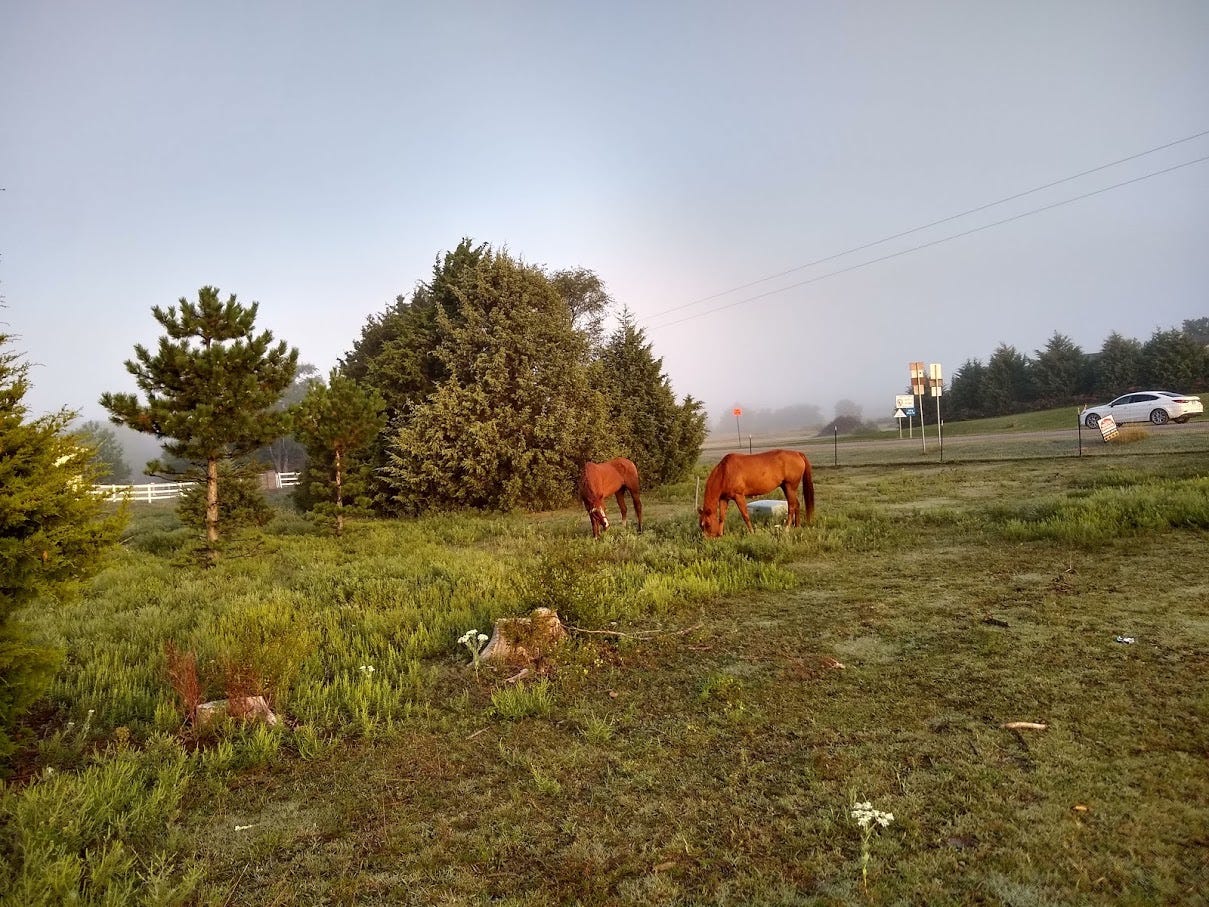 Recipe for a Story - by Grant Snider - Incidental Comics