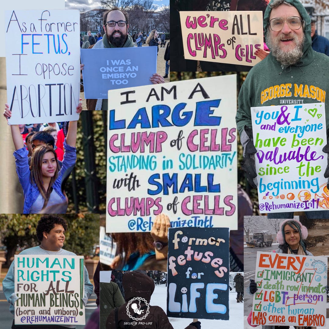 Over 100 pro-life sign ideas - Secular Pro-Life