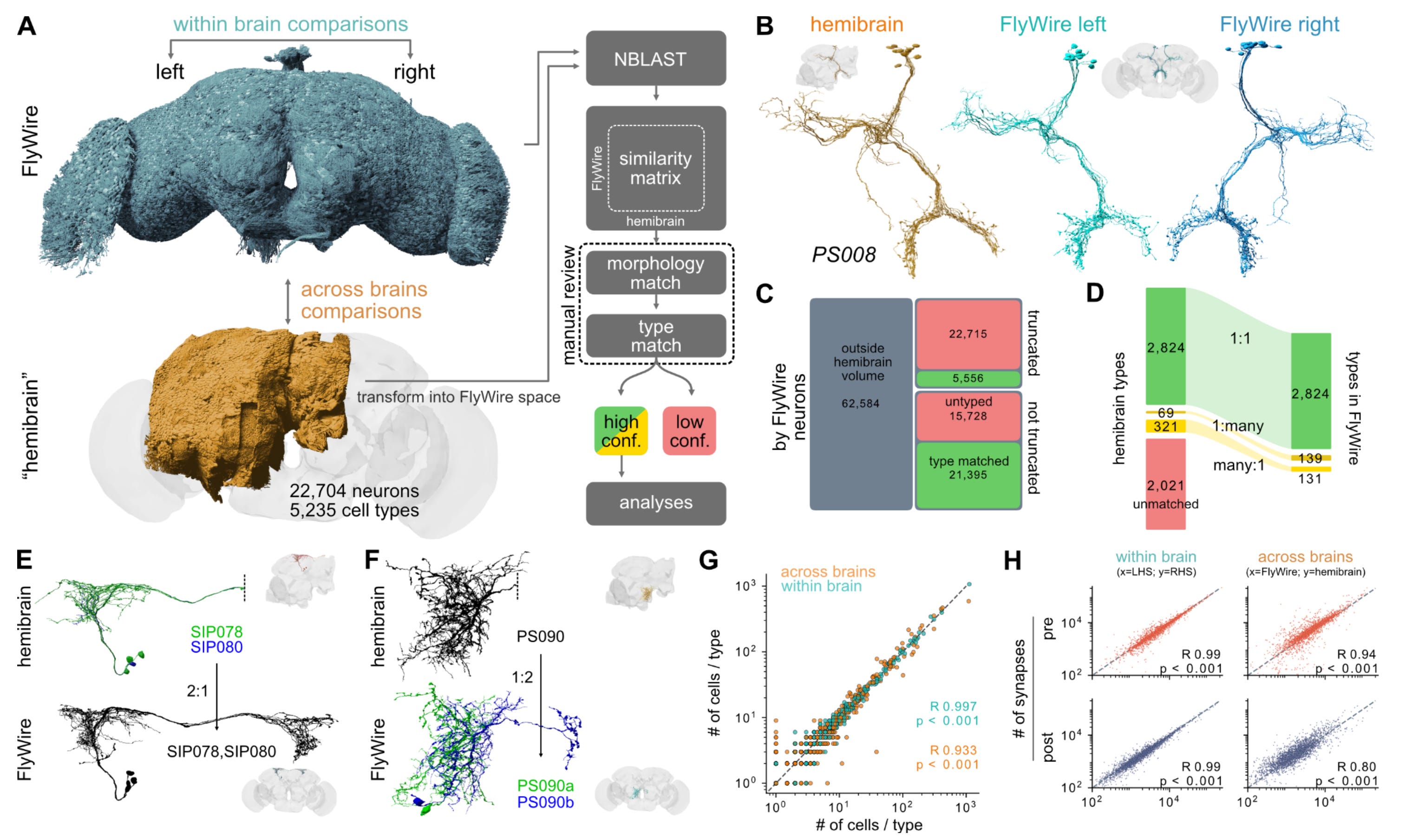 Action Potentials for July - by Andy McKenzie