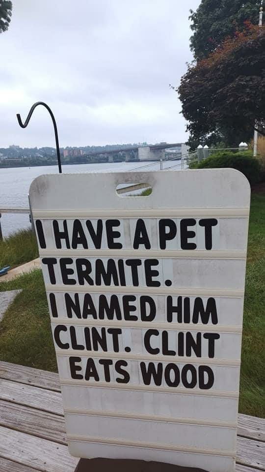 sunday dad jokes - by el gato malo - bad cattitude