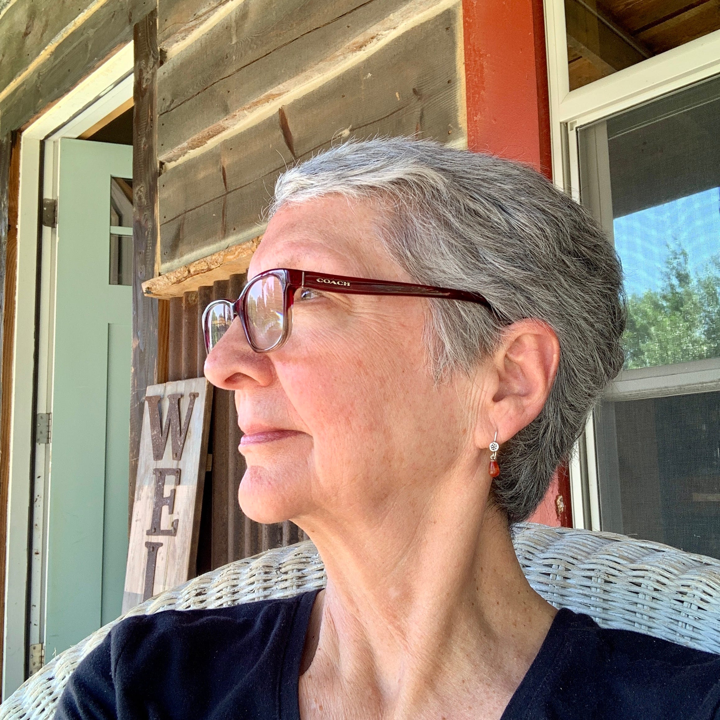 Meet Thriller Author Laurie Buchanan - by Meredith Rankin