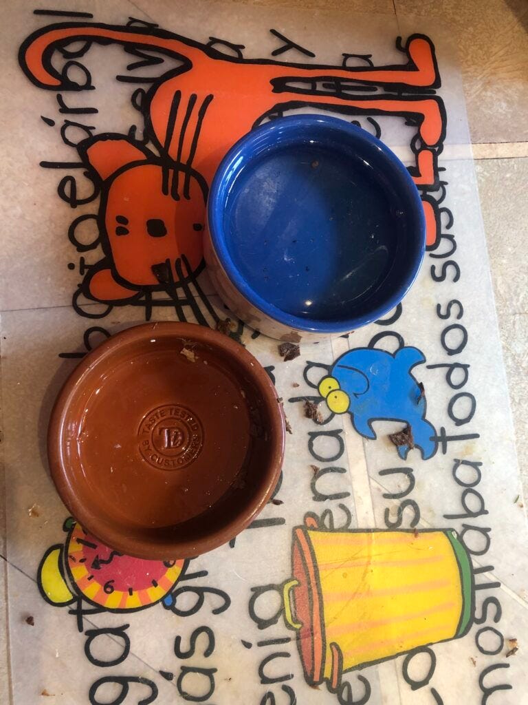 The Fam - by Pia Whitmartlet - Pia’s Substack