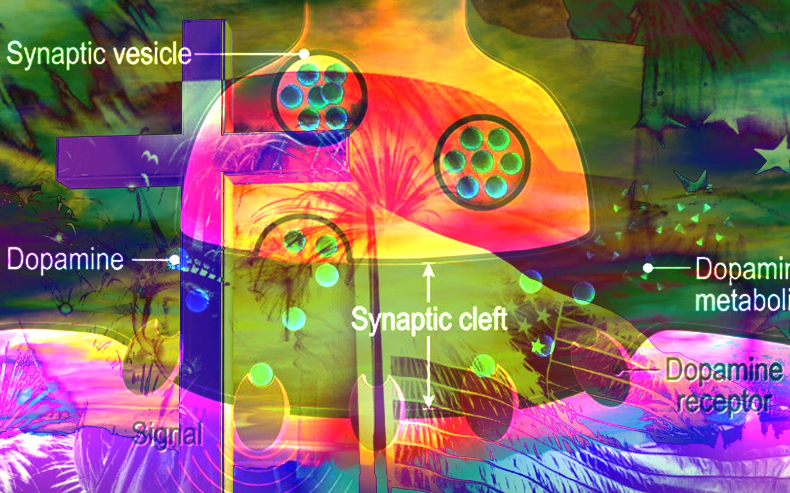 The Myth-Making of Dopamine Nation - by Jesse Meadows