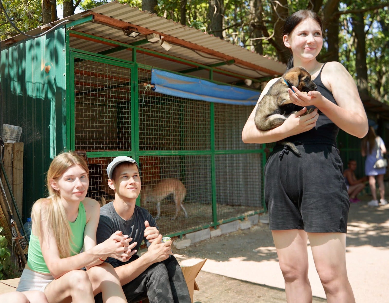 Bonus Animal Rescue Story: The Kind Group Saving Pups Displaced By ...