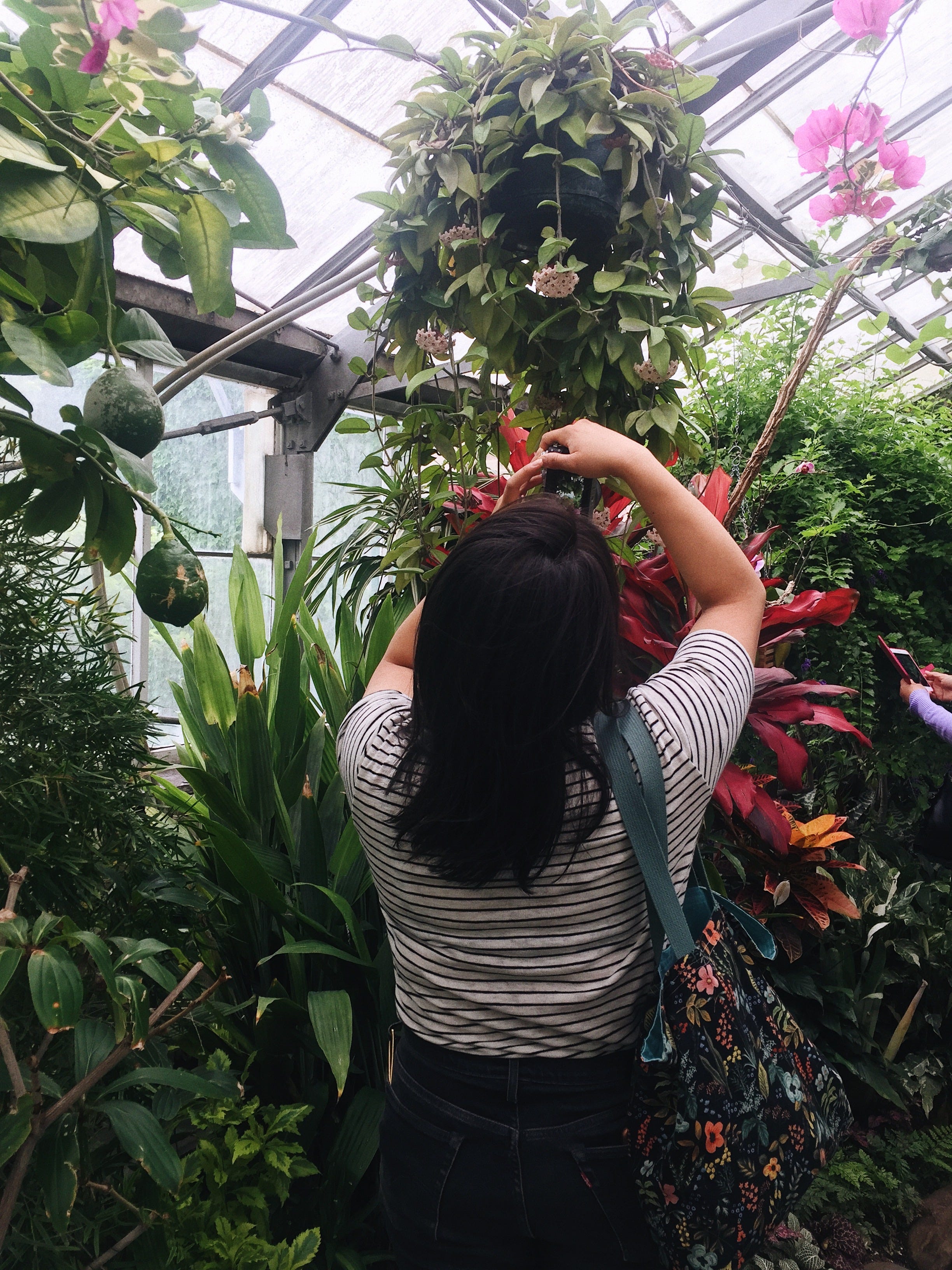 Eunice Bae | Substack