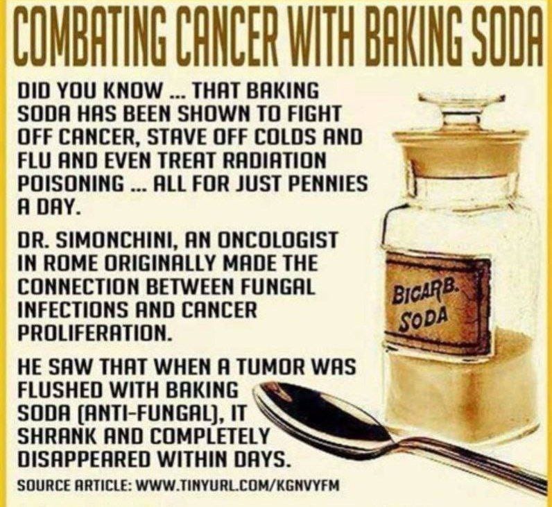 Did you know - by Susan Taapken - Susan’s Substack