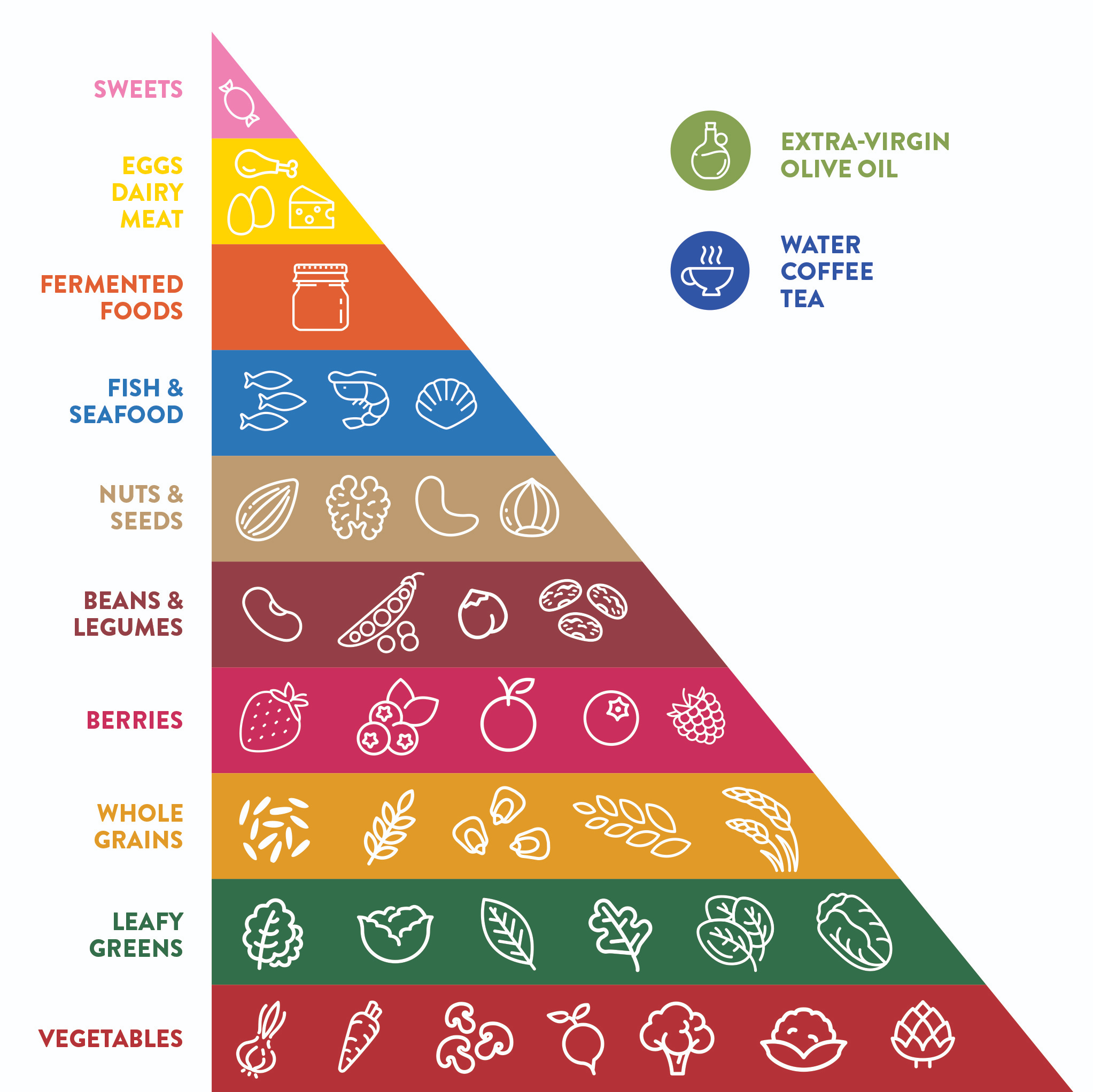 Rainforest Food Pyramid