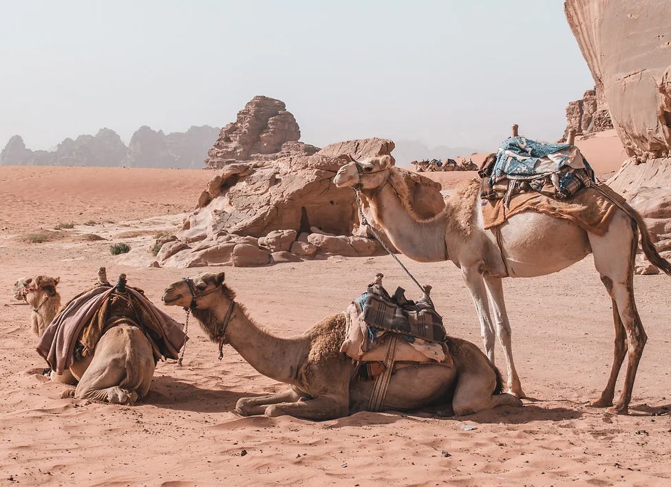 Enjoy Simple Beauty at Basata Eco-Lodge