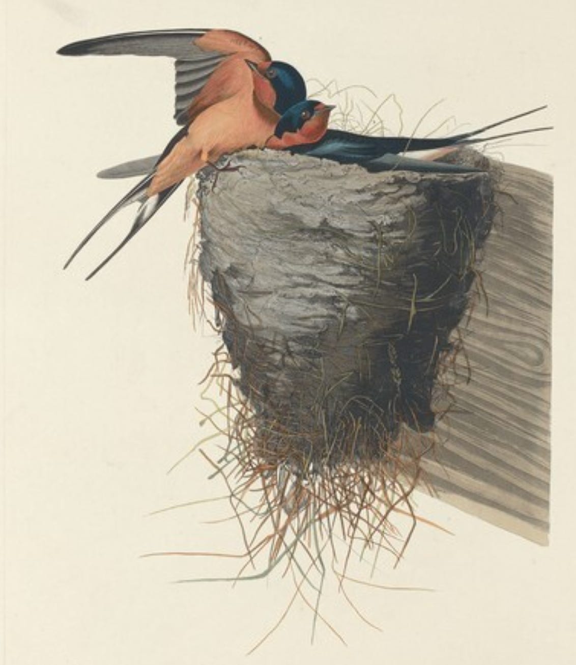 Announcing the Rural Hours Project - by Will Walker