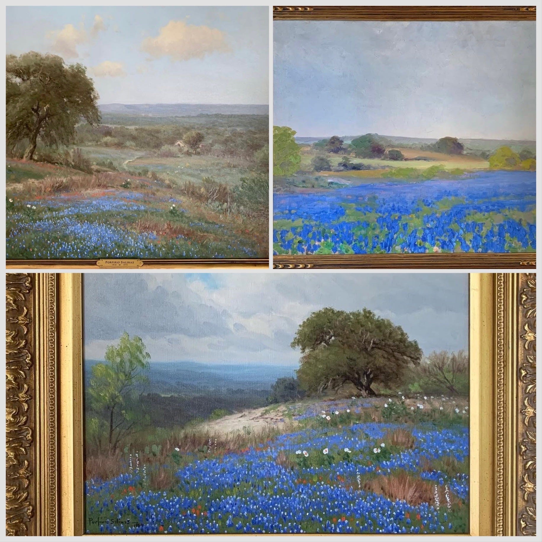 Bluebonnet Buddy - jodeeneilattorney's Substack