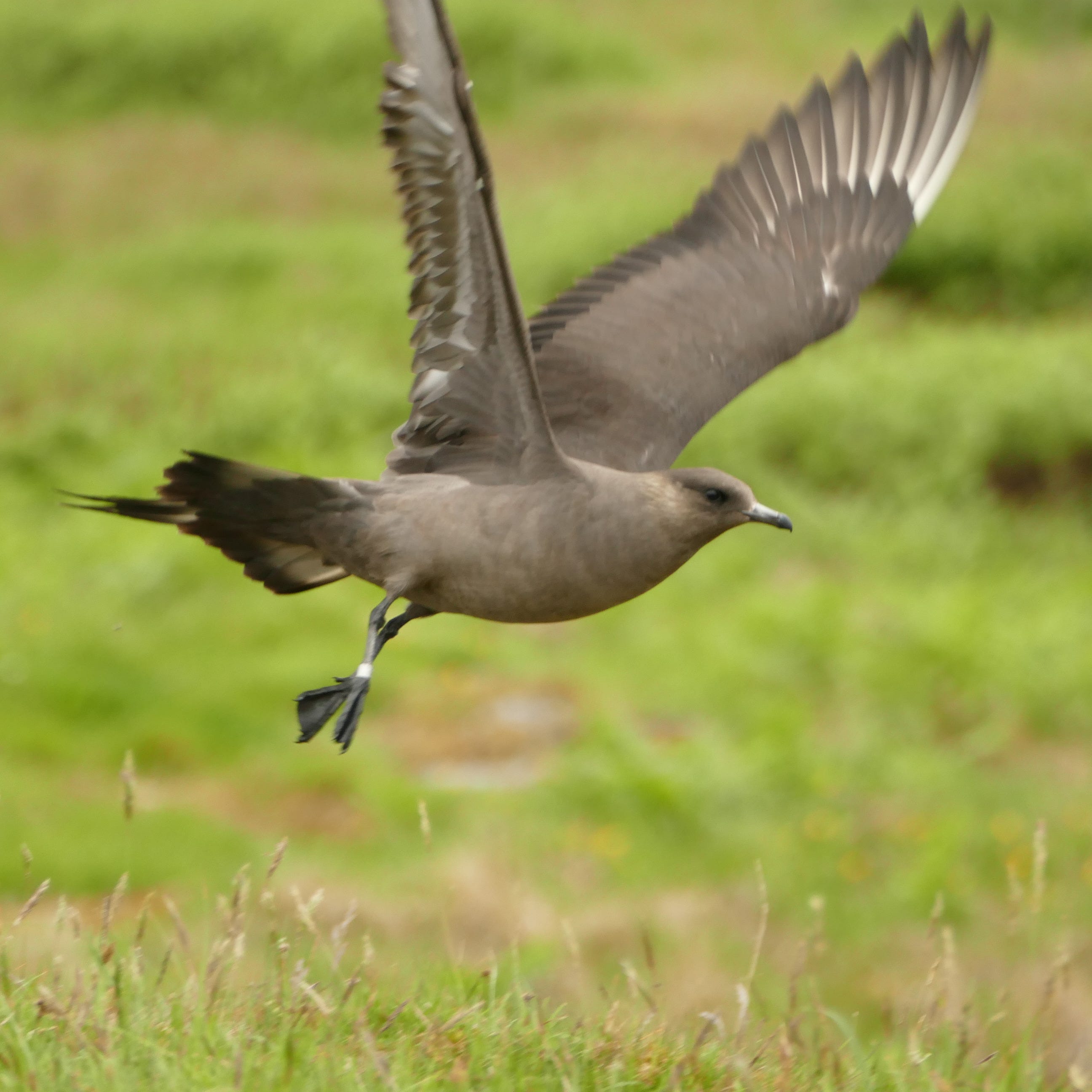 The Patient Researcher | Substack