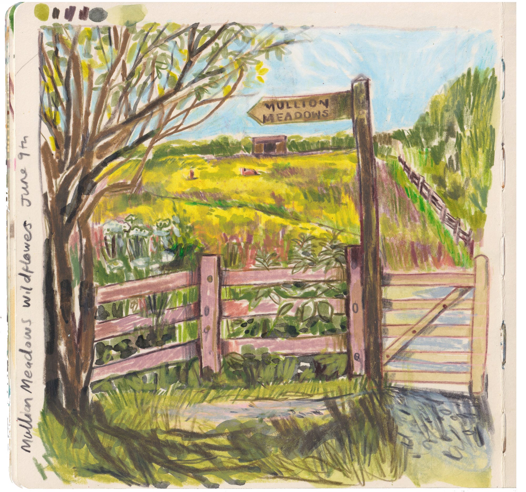June Sketchbook pages - by Melanie Chadwick