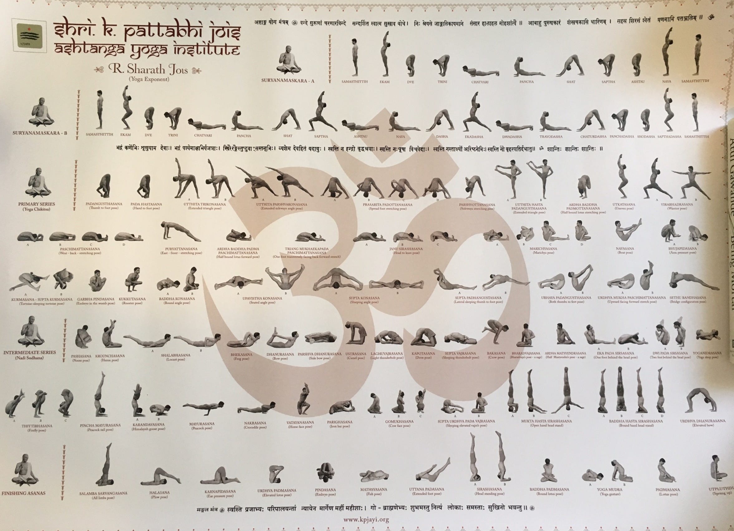 The Asanas of Primary Series Re-Sequenced Through an Iyengar Perspective
