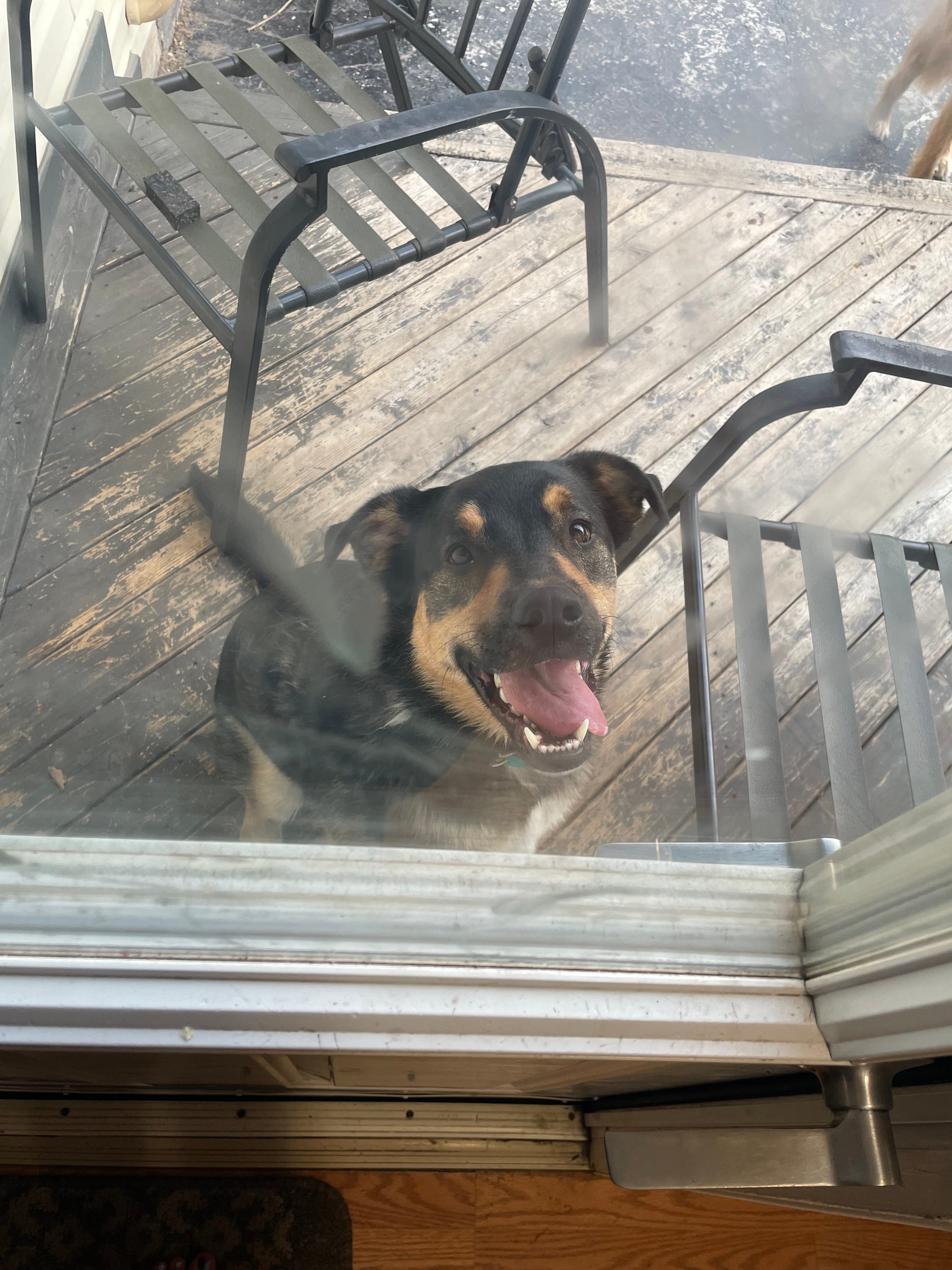 Welcome! - Meagan’s Substack