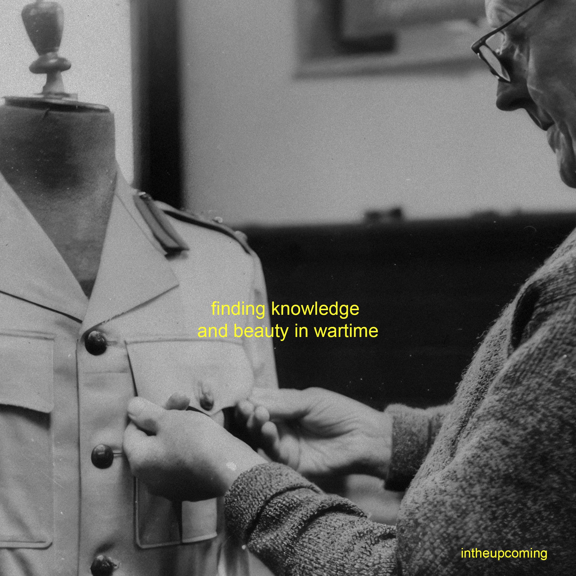 Finding Knowledge and Beauty in Wartime