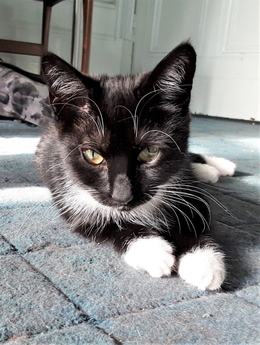 11/1 ALL HALLOWS MASS FOR THE PASSED... - Xanaduum