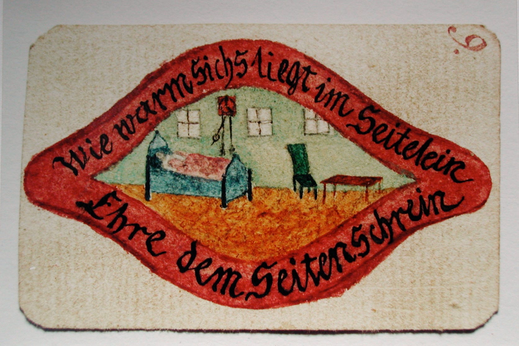 a wounded tree is a better home - by Amy Peterson