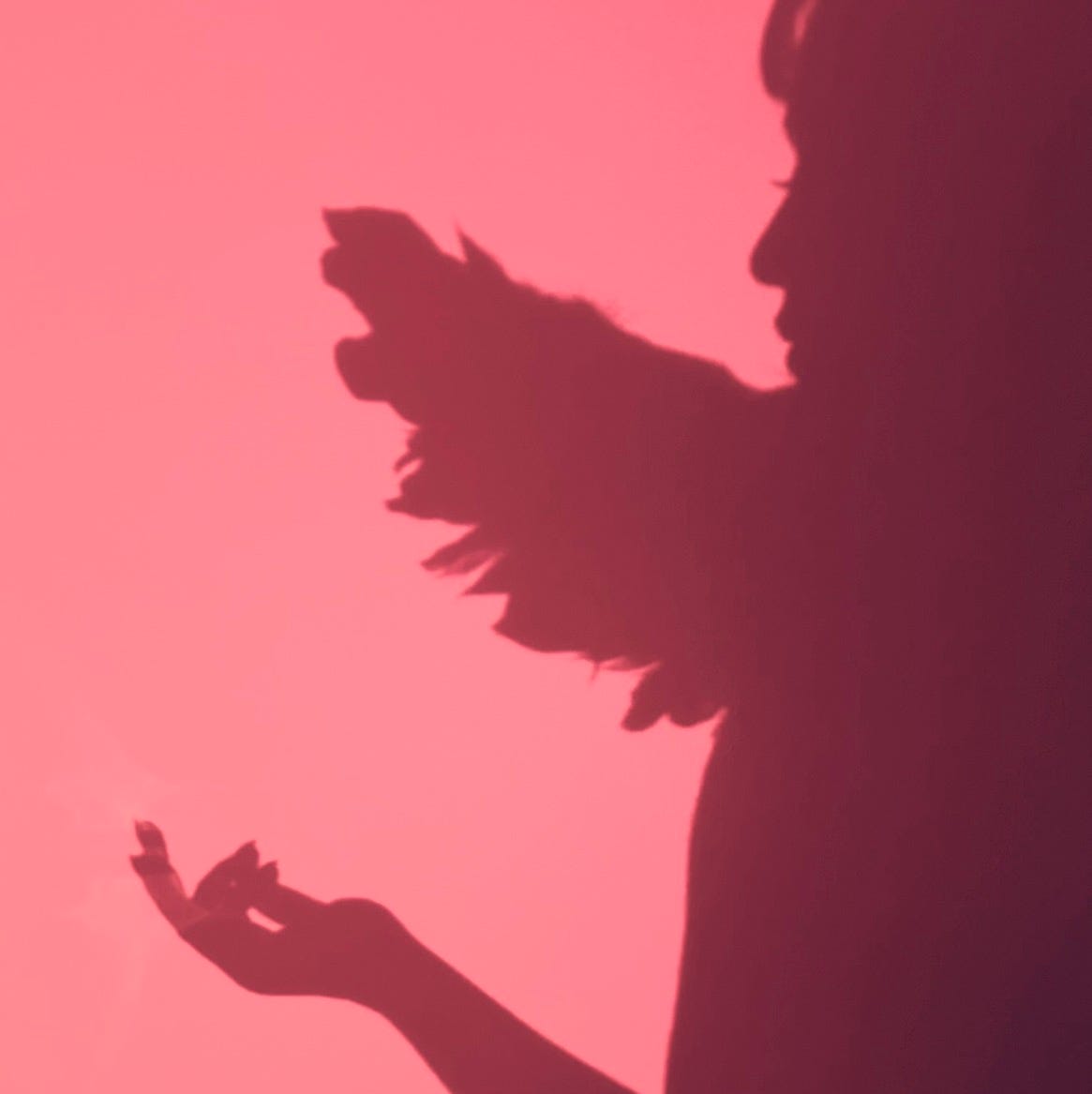 Victoria Strong | Substack