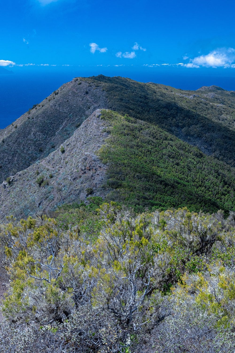 The Rain Shadow Effect - by Tomas Pueyo