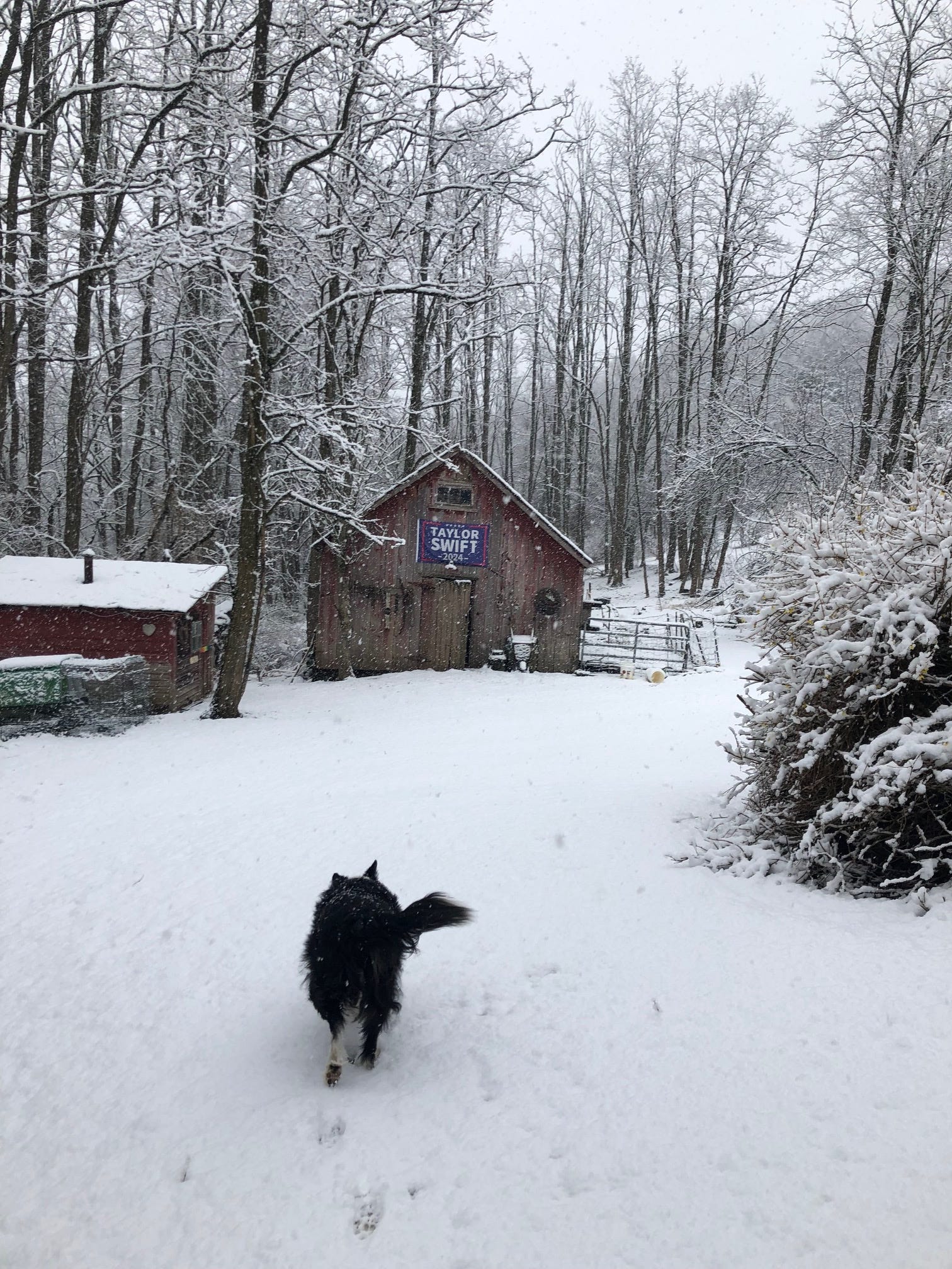 A Spring Snow Day on the Farm - by Jenna Woginrich