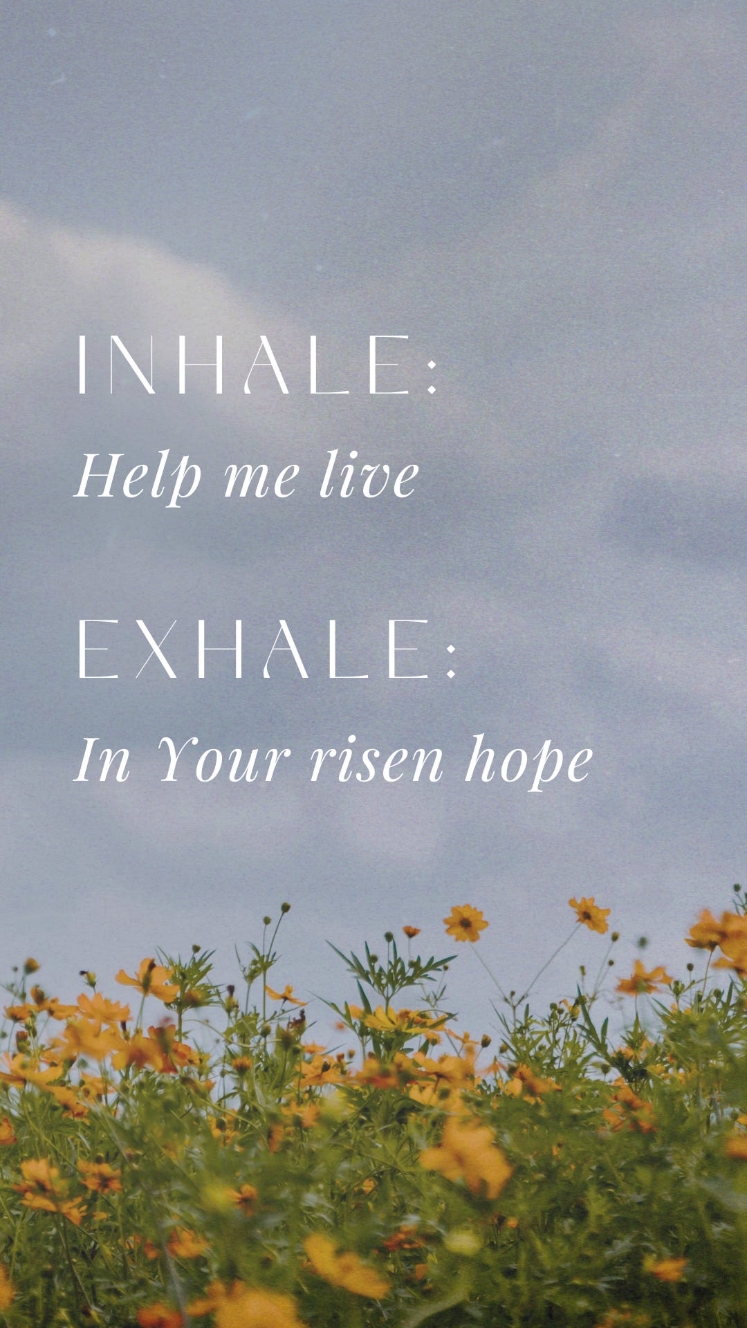 🌅 Resurrection: Risen Hope, Even Now. - by Kayla Craig