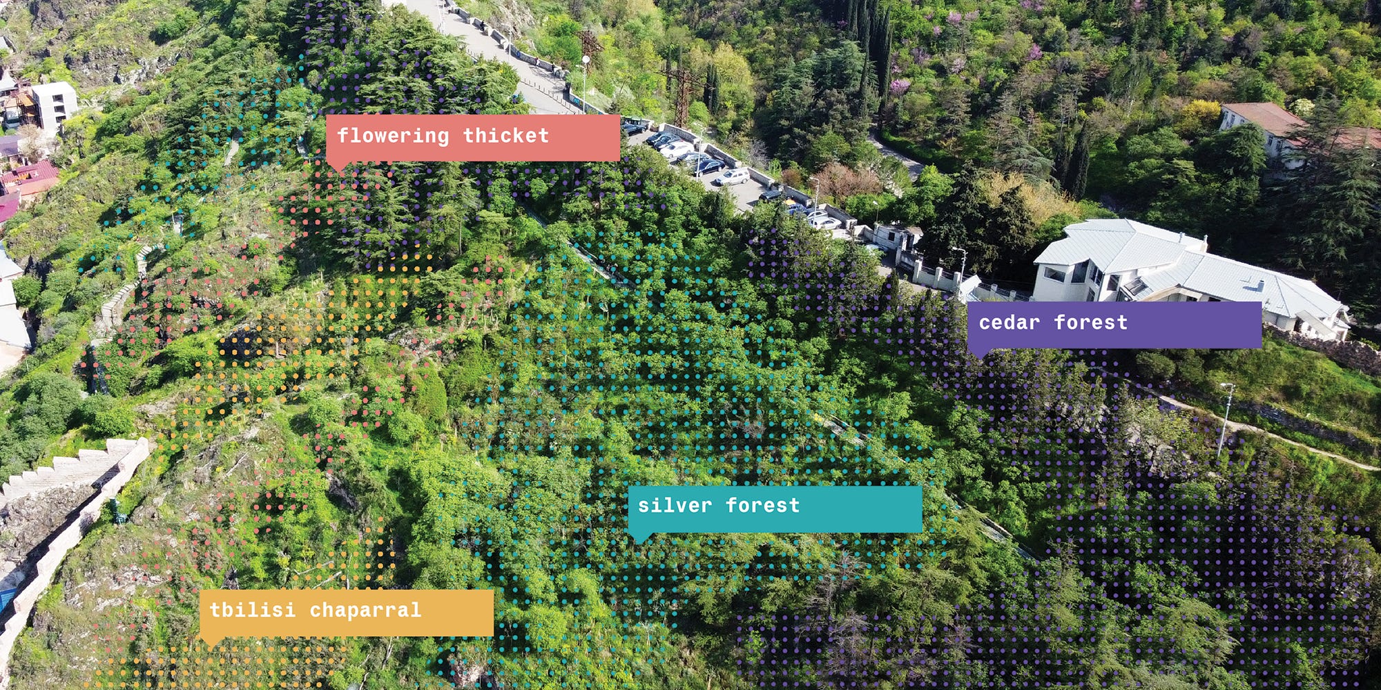 Welcome 2024 - by Saruder - Ruderal