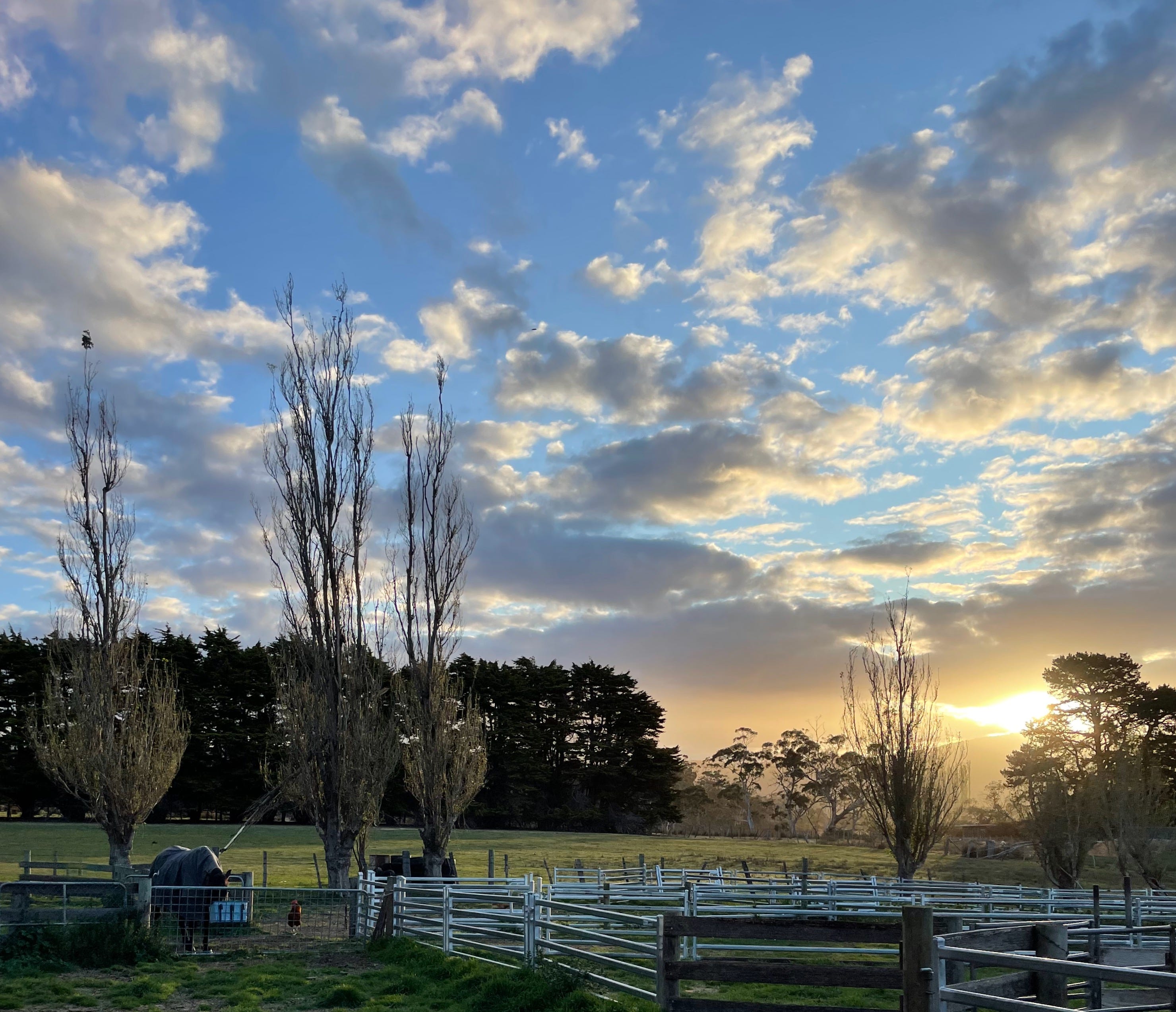 The Waiting - by Maggie Mackellar - The Sit Spot