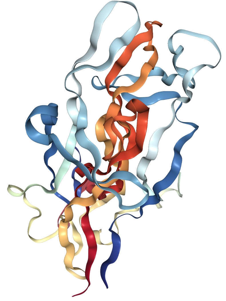 Top 5 Supplements to Boost Memory, Learning & Cognition