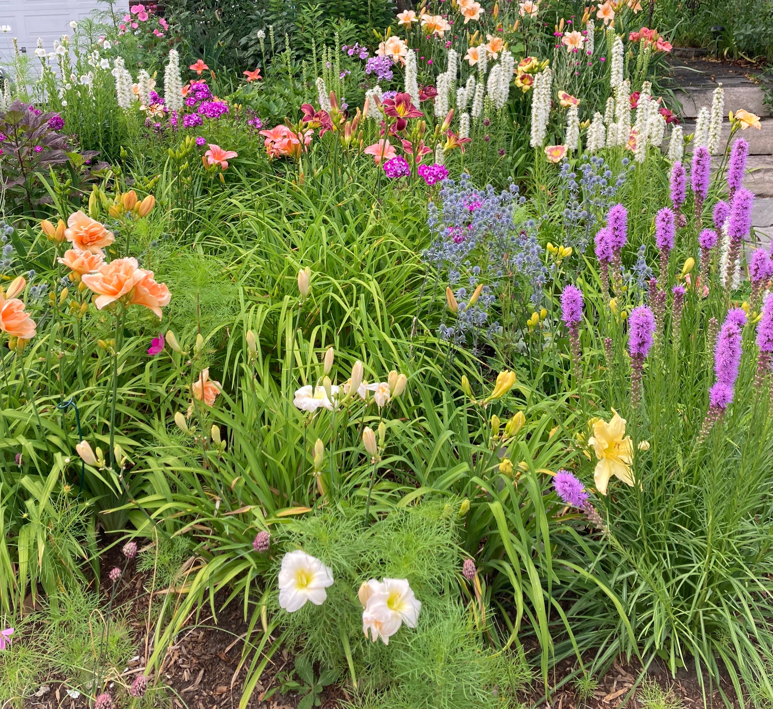 The summer of FOMO - by Sara Saljoughi - Not Yet