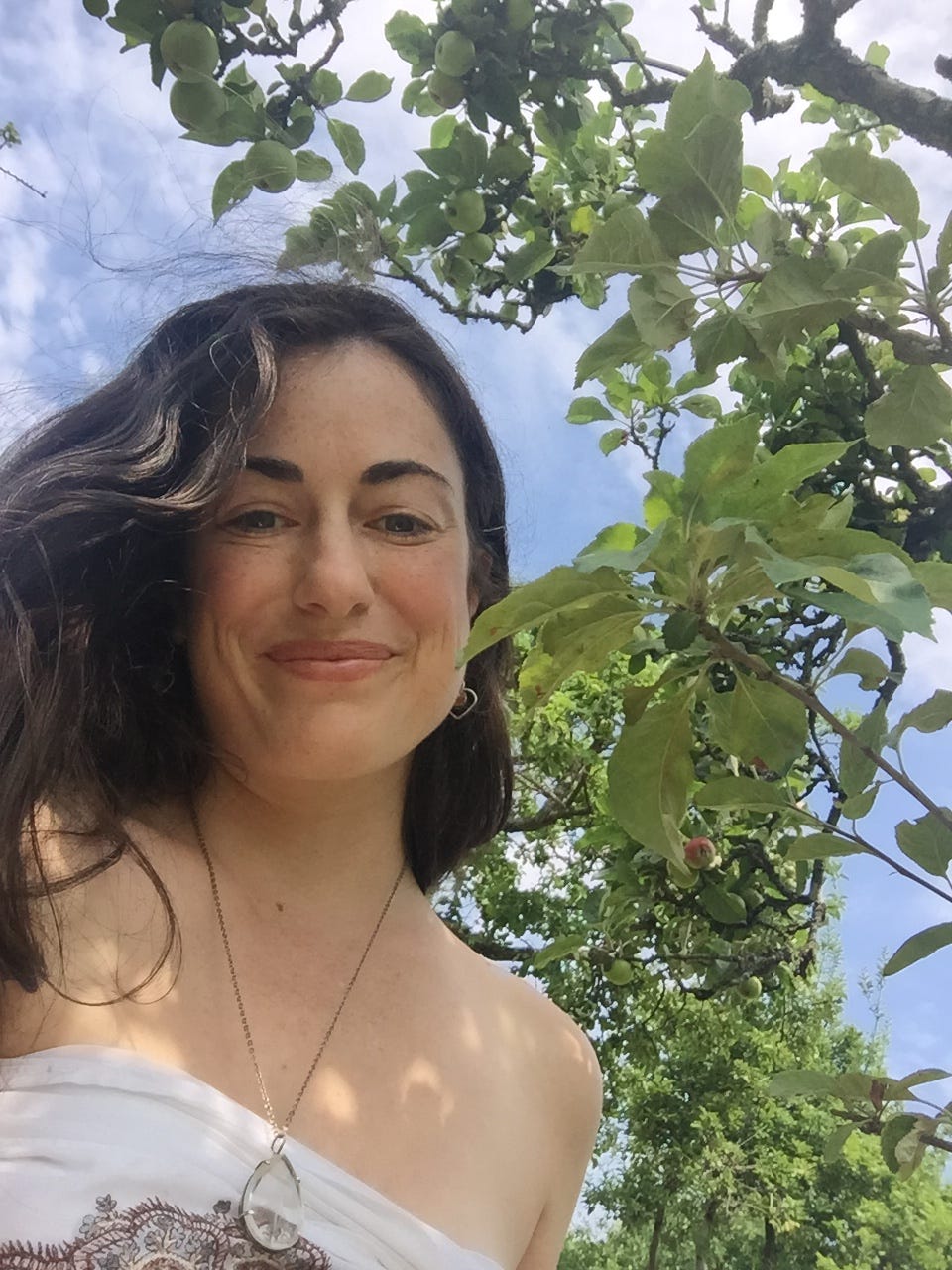 Sophie Macklin | Substack