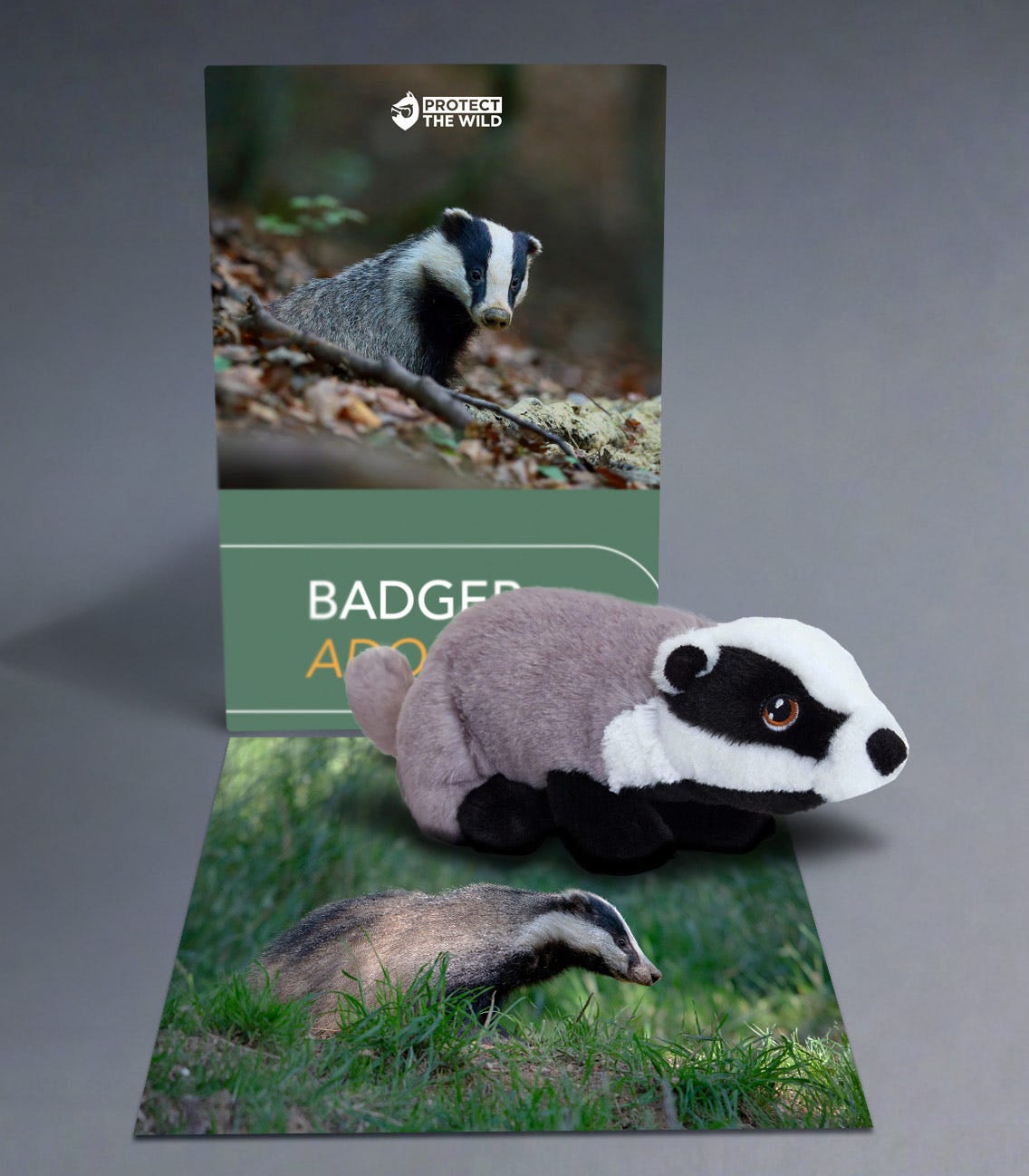 REVEALED: Government discusses badger cull with farming lobbyists in ...
