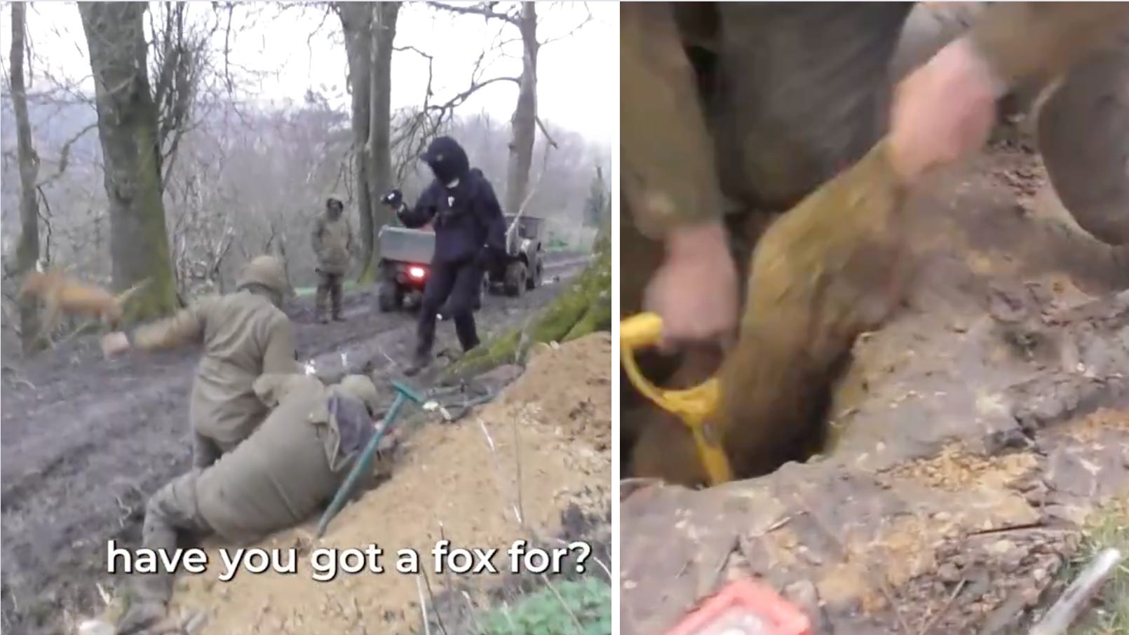 HORRIFYING: Sabs film terriermen digging fox out of badger sett