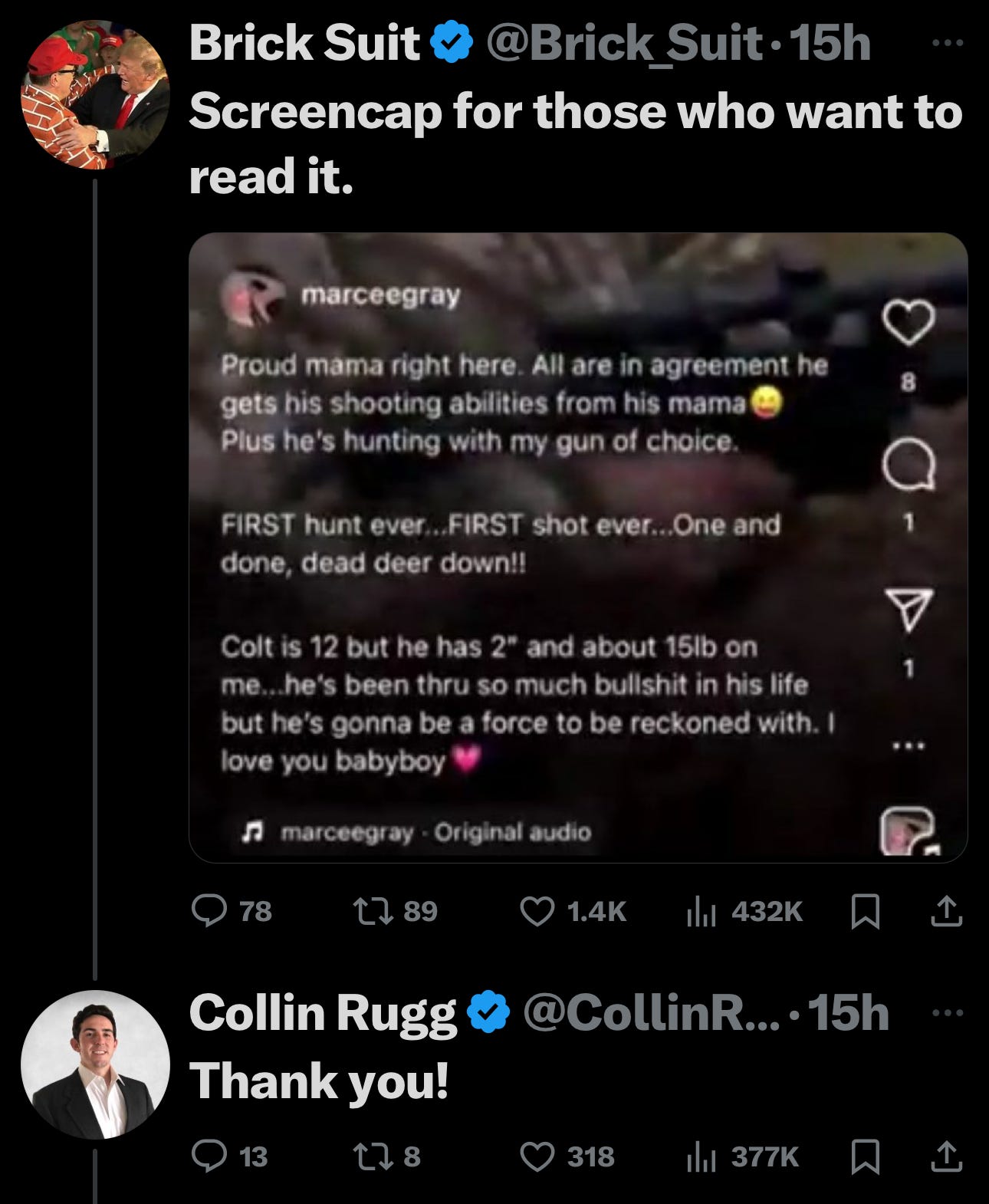 Georgia School Shooter Identified as Colt Gray as Courtroom and Deer ...