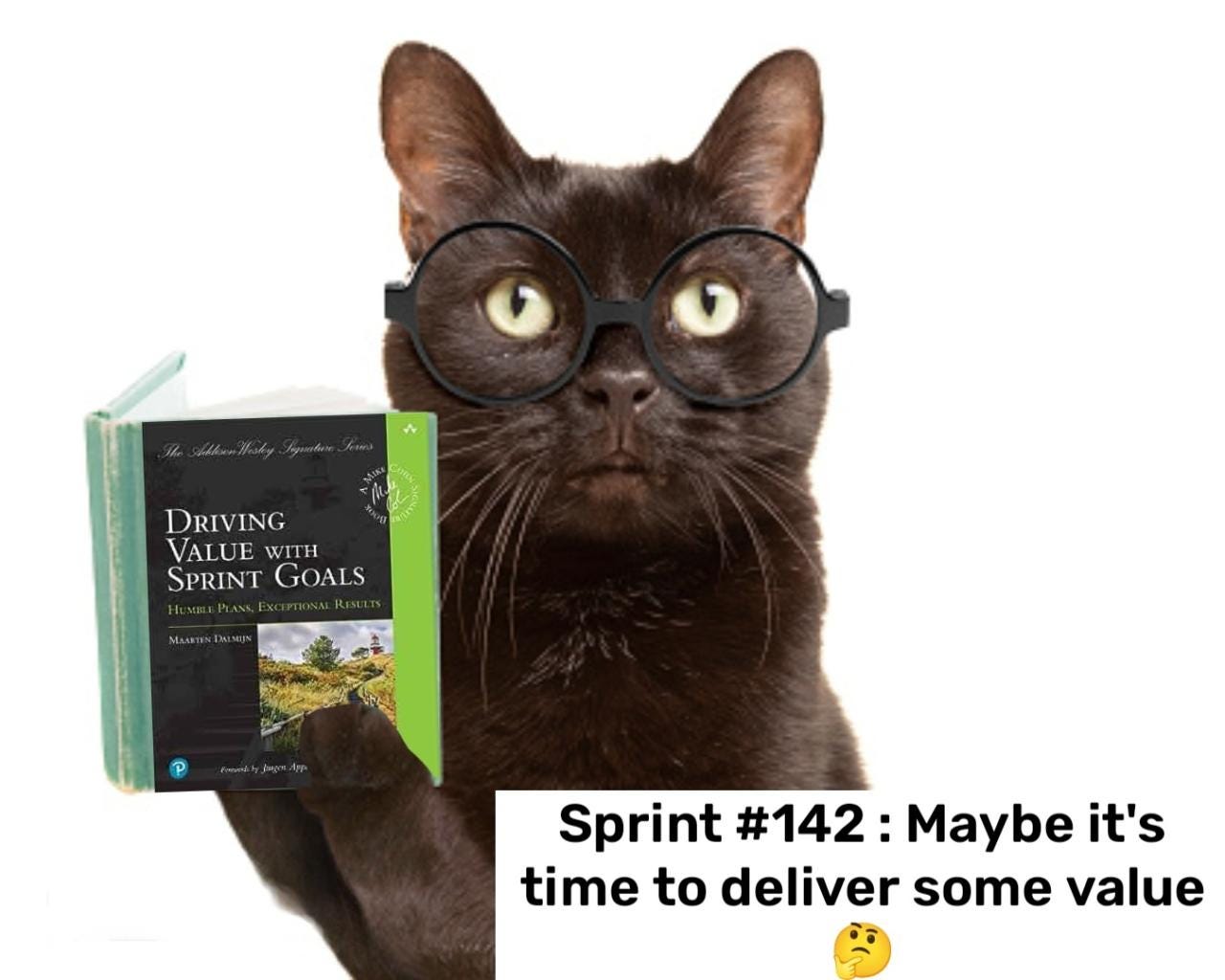 Top 10 Sprint Goal Memes - by Maarten Dalmijn