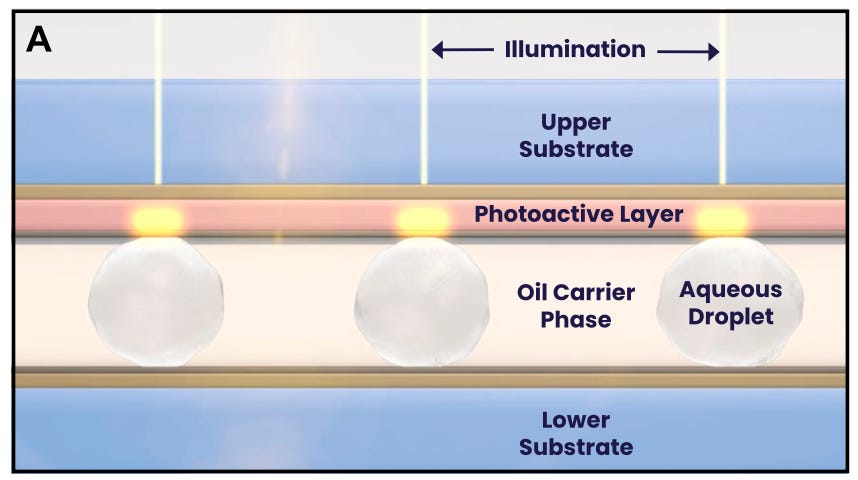 Lightcast Discovery Ltd - by Nava Whiteford