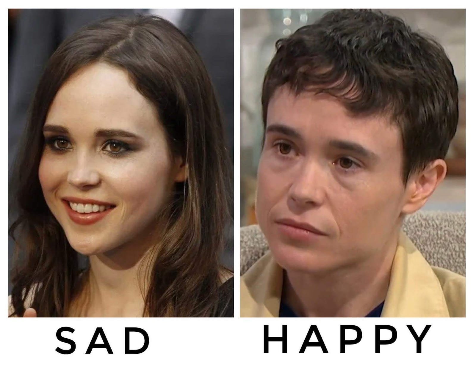 The Stroop Effect Of Ellen Page