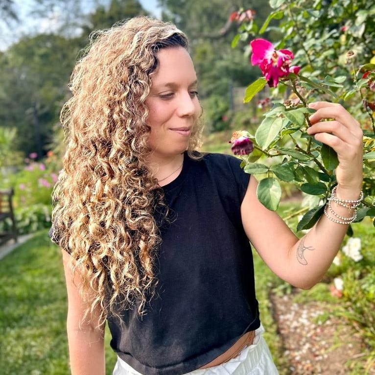 Alison Zahava Elise | Substack