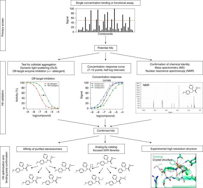 A Practical Guide to Large Scale Docking