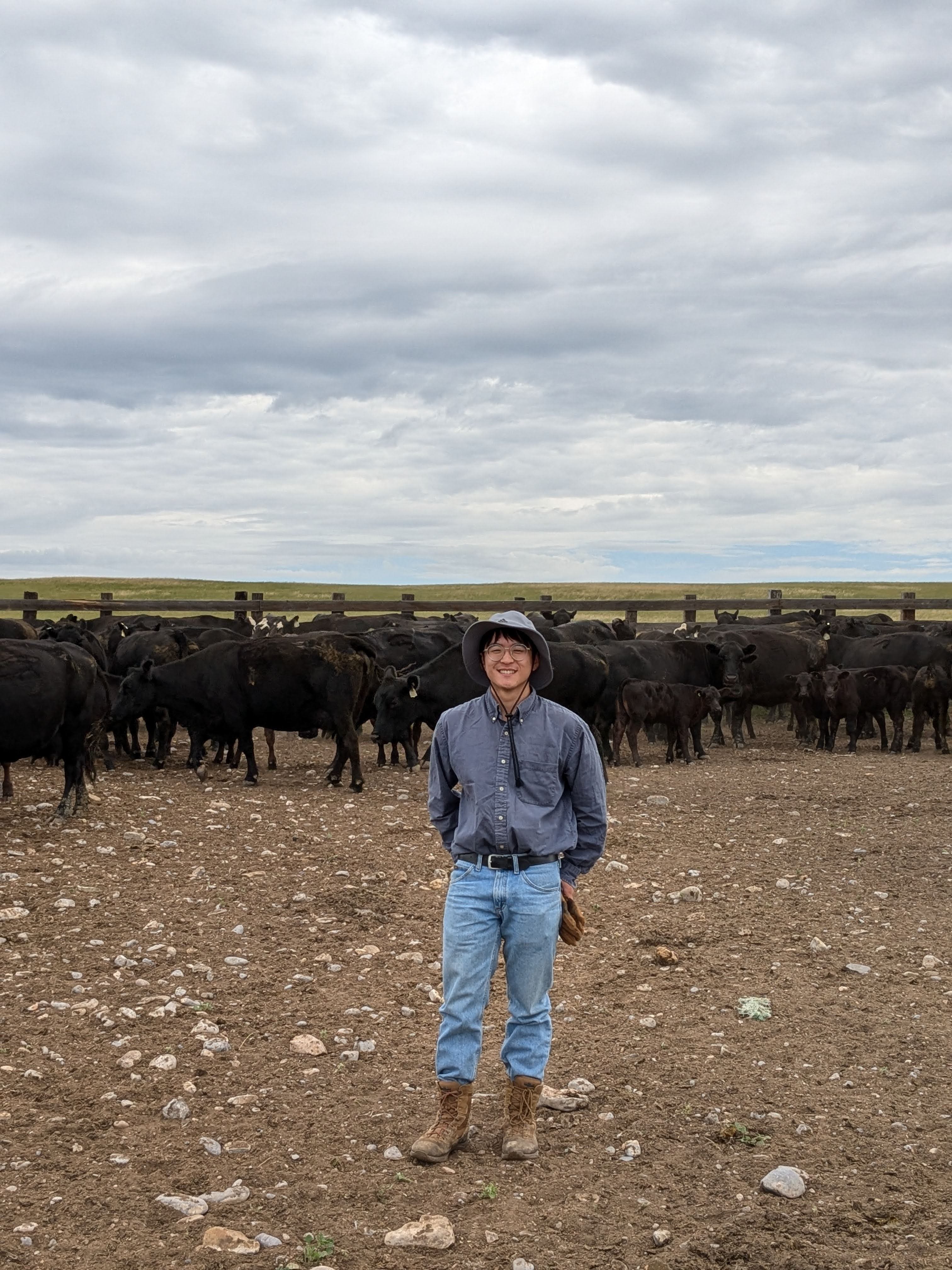 Stardew Valley: Montana edition - richard’s Substack