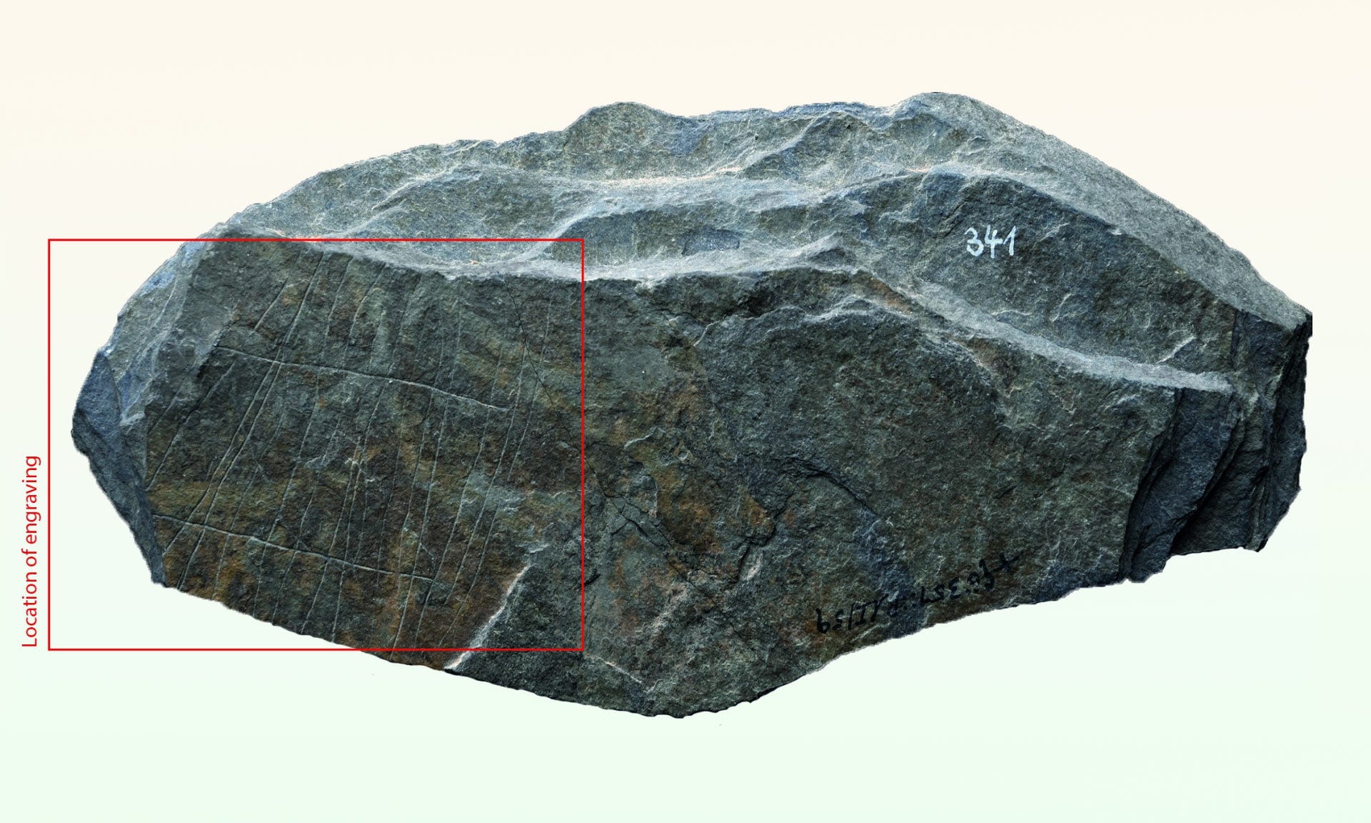 How 15,800-Year-Old Engravings Reveal Paleolithic Fishing Practices