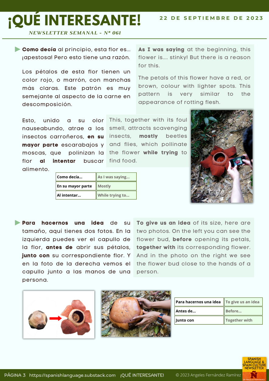 ¡Qué interesante! (How interesting!) #061