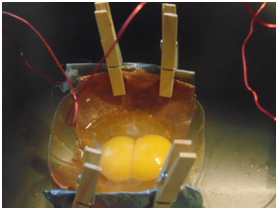 Weapons of Mass Solutions--- the Anti Nano -triangle---bucket---spike ...