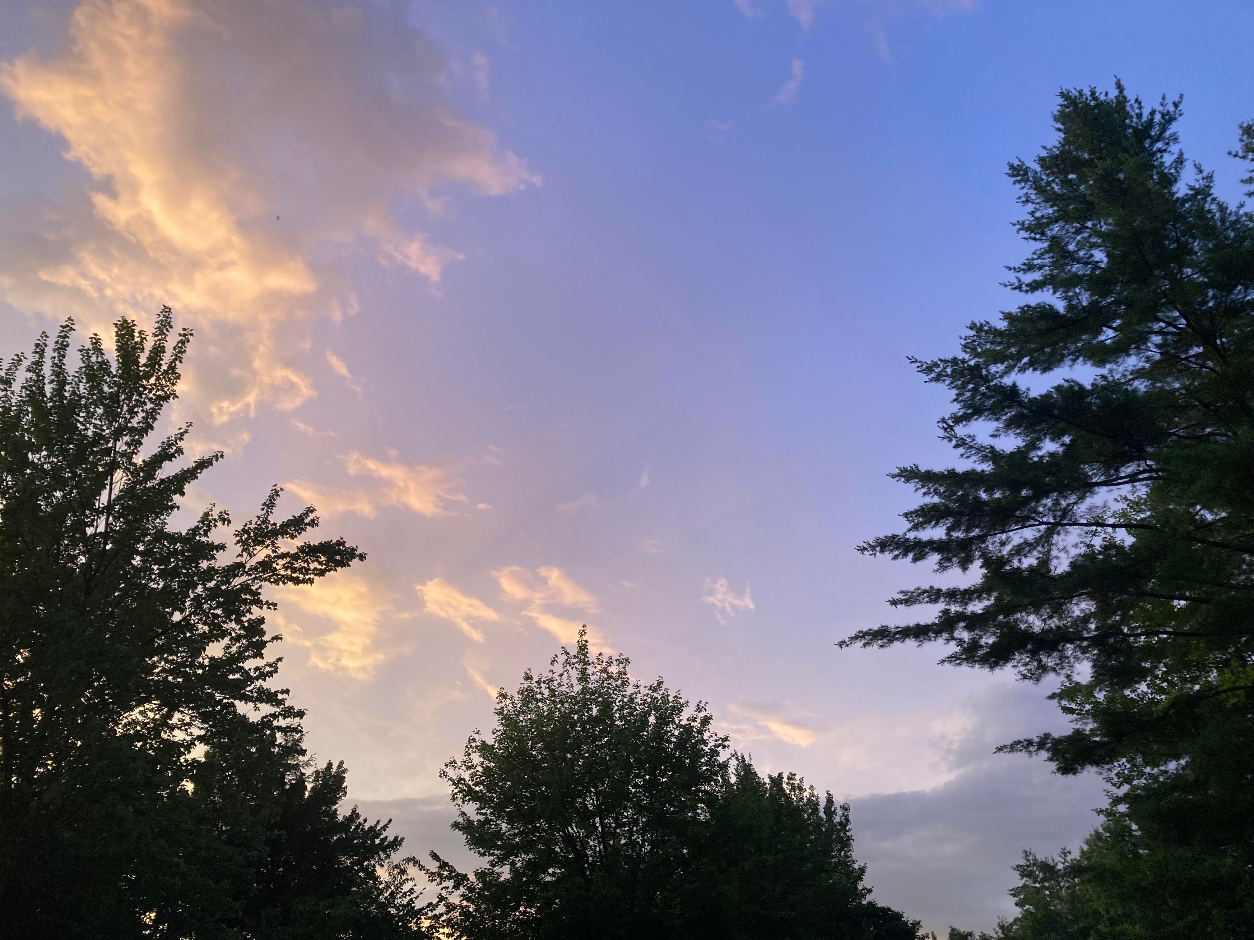 Aaron Calvin | Ways of Eating | Substack