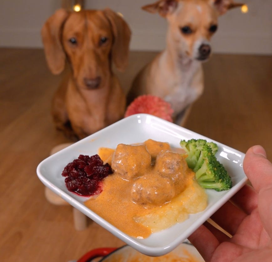Dogka Spiked Swedish Meatballs - by thecedlife