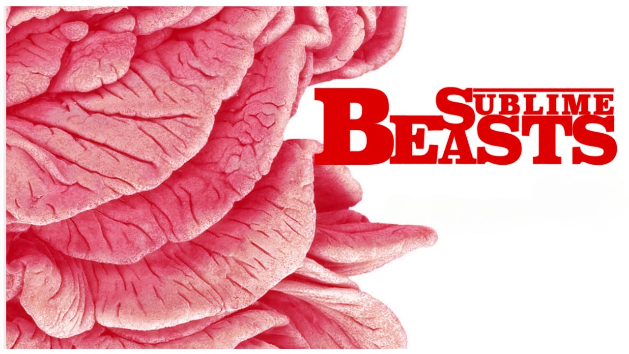 Mini Film Review: Last and First Men