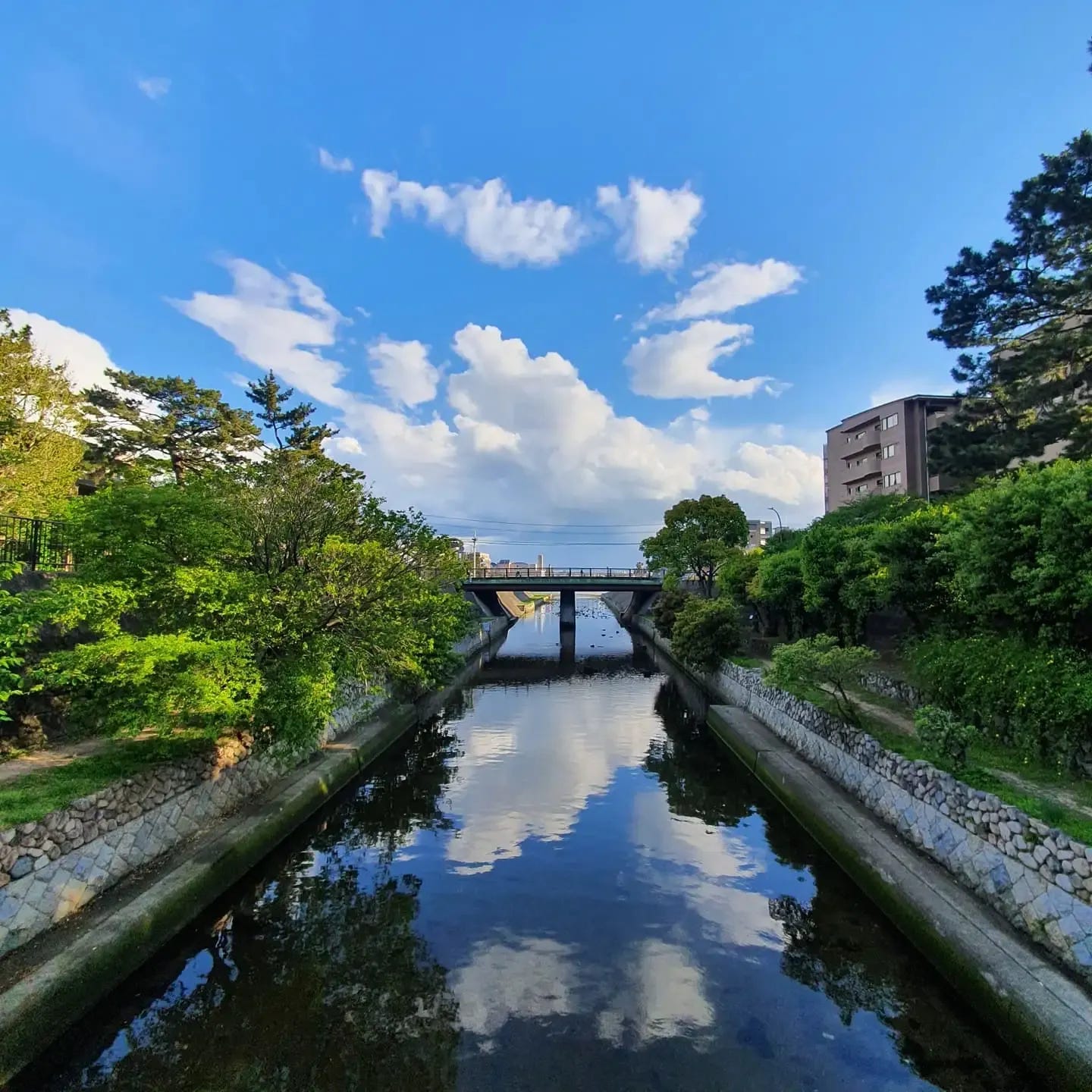 Secrets from Japan and Beyond | Substack