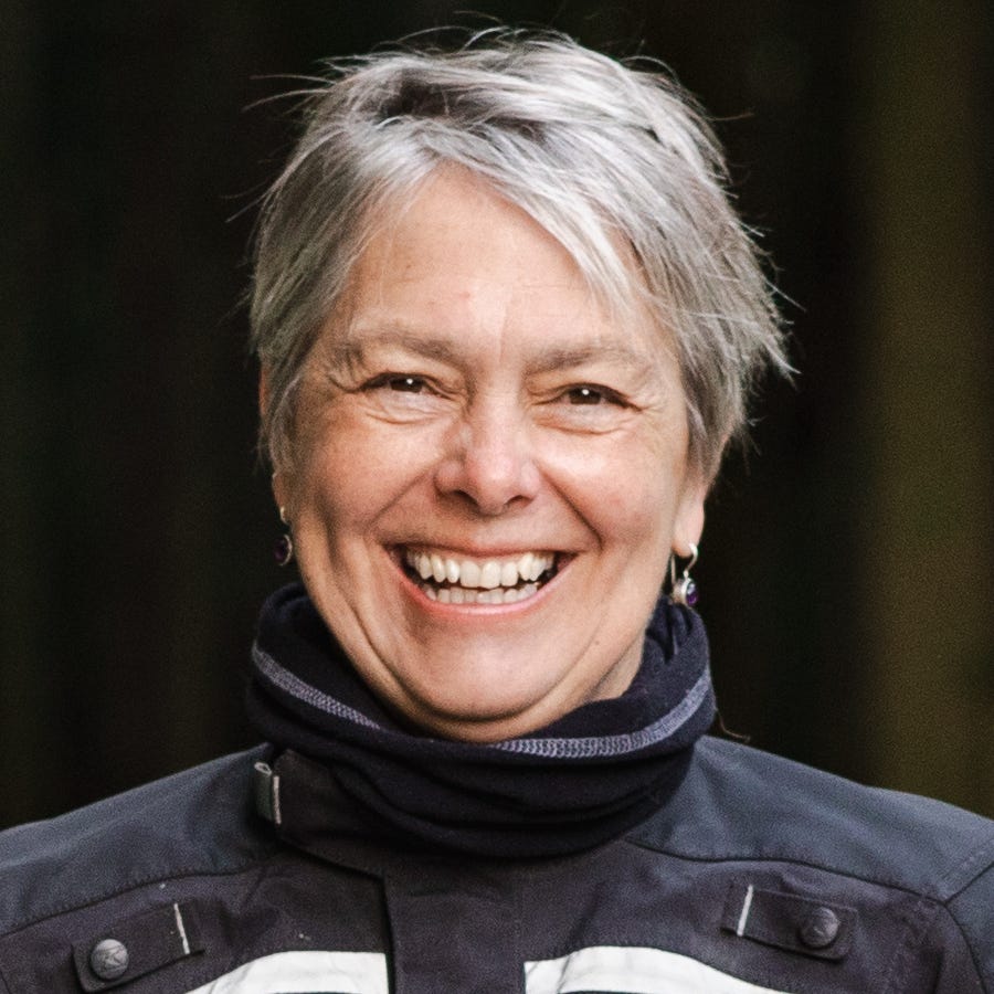 C. Jane Taylor | Substack