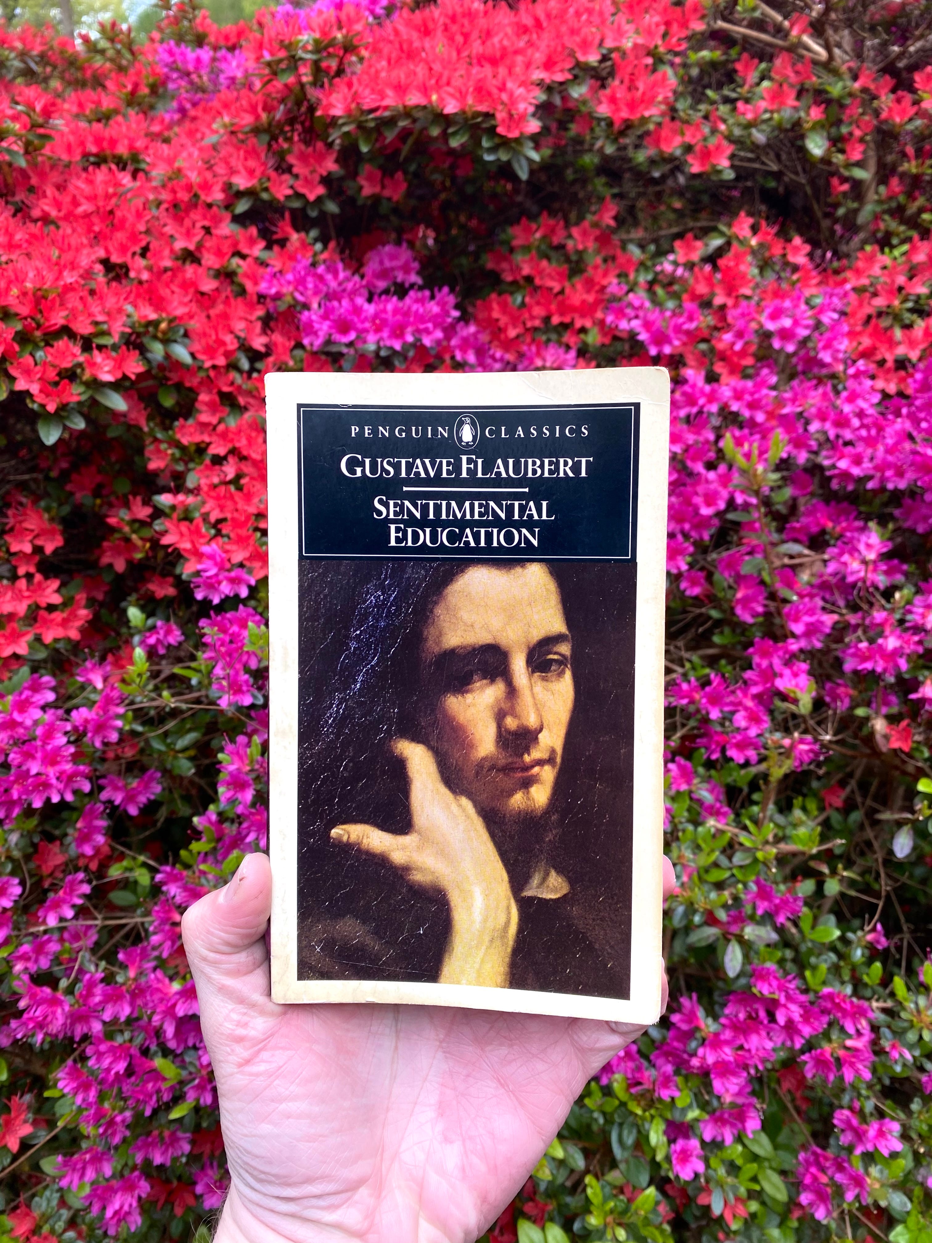 Sentimental Education by Gustave Flaubert - by Nick Jensen